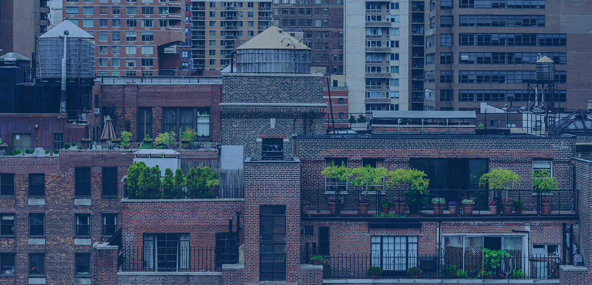 Incredible Rooftop Gardens from Around the World - Projex Group