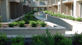 Wolfin Installation - Projex Group